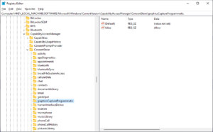 Blocking Screen capture › Undocumented Features